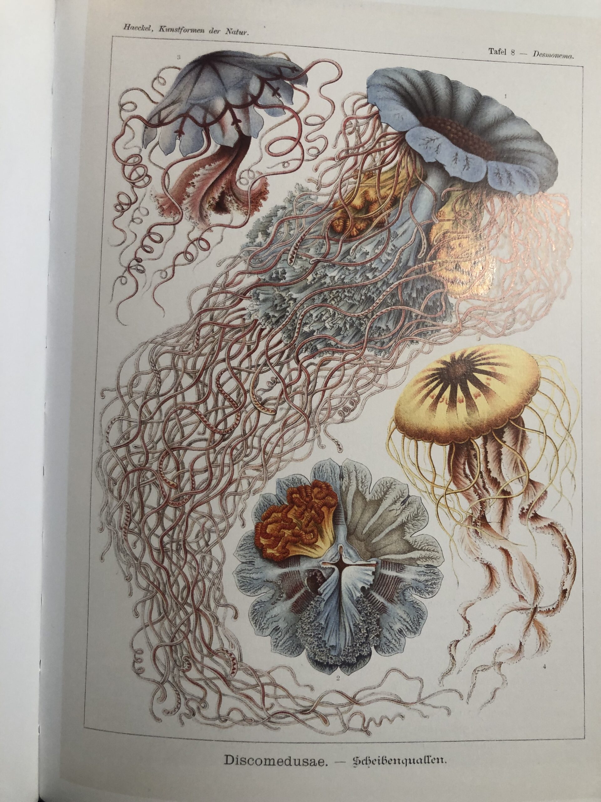 Art in Nature - John W Wenzel